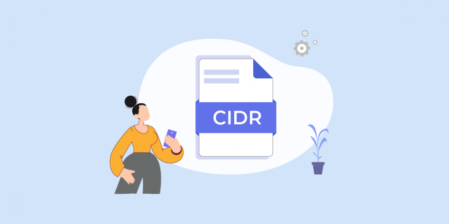 New CIDR data format for IP2Location & IP2Proxy data | IP2Location.com